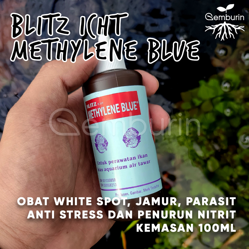 Jual Blitz Icht Obat Biru 100 ml / Methylene Blue / Anti White Spot Parasit Protozoa Jamur ...