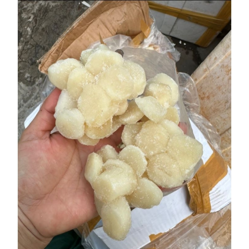 Jual SCALLOP / KERANG SERIMPING KUPAS BERSIH BEKU 1 KG | Shopee Indonesia