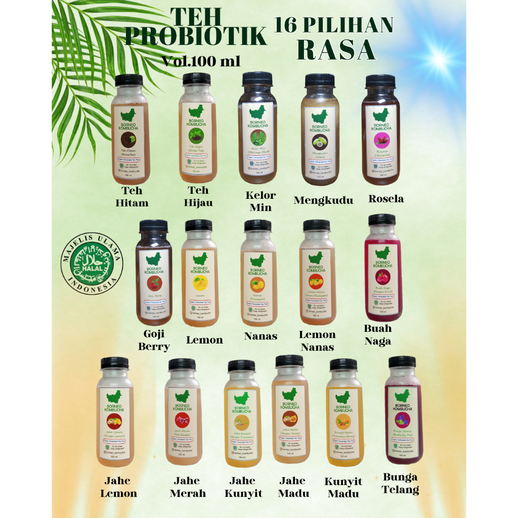 Jual BORNEO KOMBUCHA TEH PROBIOTIK FERMENTASI HALAL BUAH DAN REMPAH ...