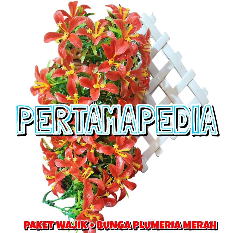 Jual C5 PAKET BUNGA PLUMERIA + WAJIK BREKET/ BUNGA PLASTIK/ RUMPUT ...