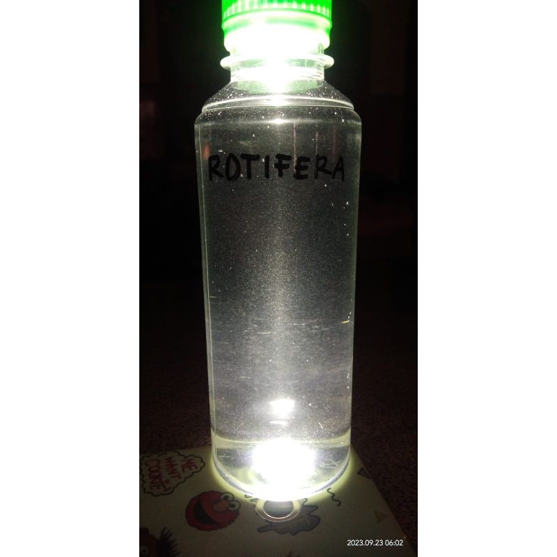 Jual Rotifera - Zooplankton / Tigriopus / Copepod / Phytoplankton nannochloropsis | Shopee Indonesia