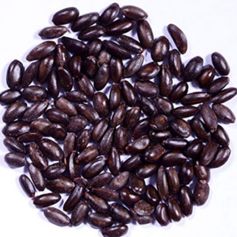 Jual Biji Srikaya Merah | Shopee Indonesia