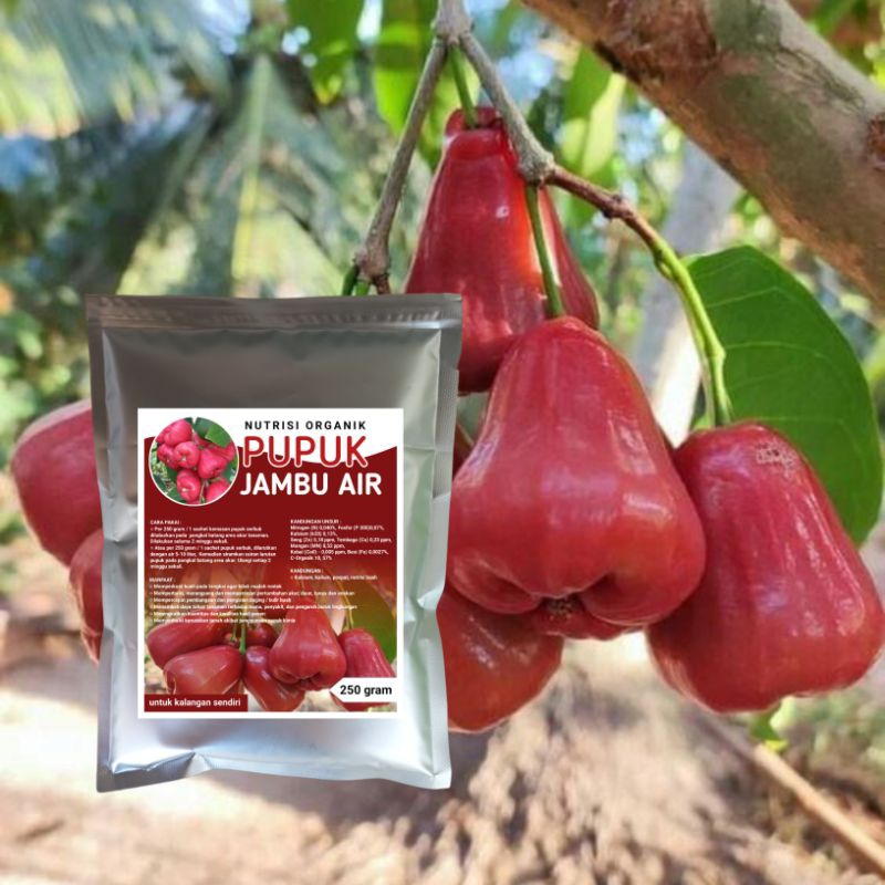 Jual pupuk pelebat buah JAMBU AIR | booster nutrisi organik 250 gram | Shopee Indonesia