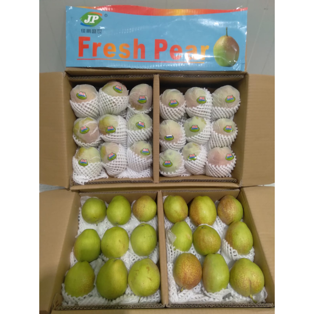 Jual Pear Xianglie (KG) | Shopee Indonesia