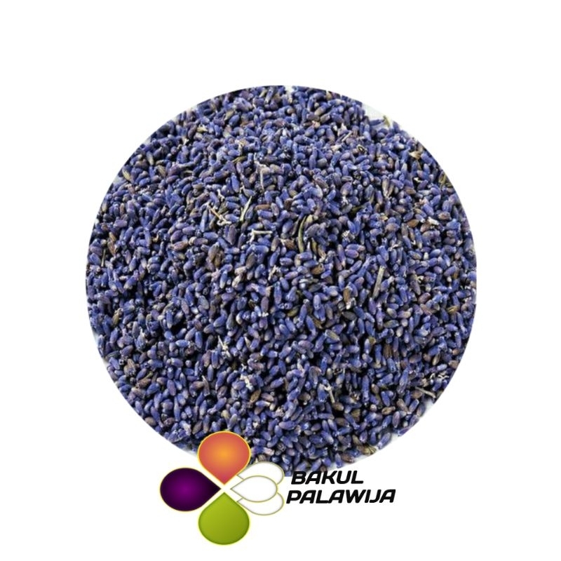 Jual BUNGA LAVENDER FLOWER TEA TISANE TEH BUNGA LAVENDER KERING ...