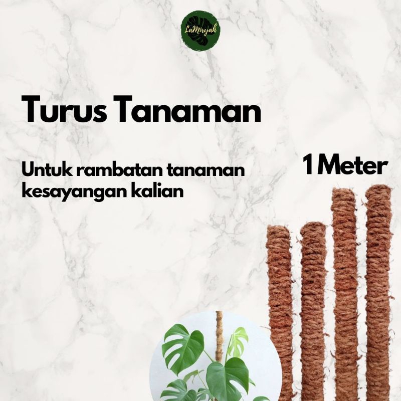 Jual Turus Penyangga Tanaman 1Meter / Rambatan Tanaman / Turus Sabut ...