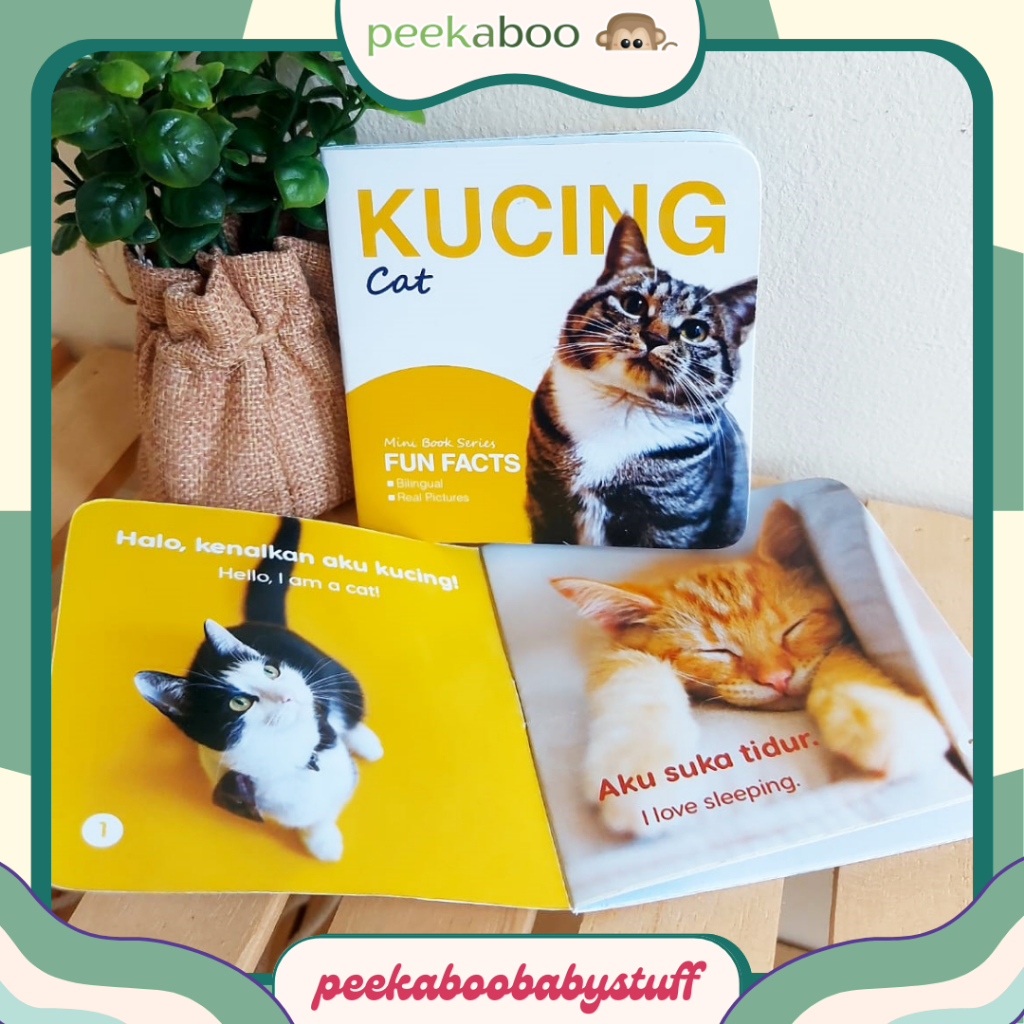 Jual MINI BOOK FUN FACTS - TEMA KUCING || BUKU PENGENALAN HEWAN ...