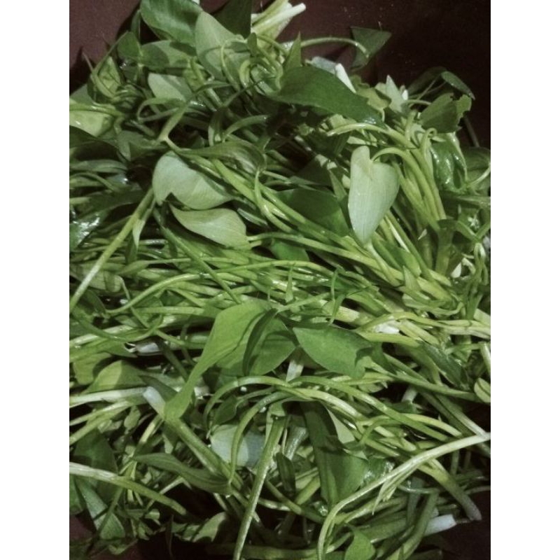 Jual daun eceng sawah segar 500grm | Shopee Indonesia
