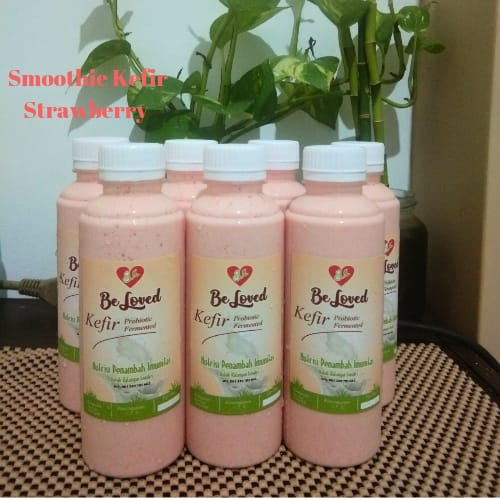 Jual Kefir Smoothies Susu Sapi Minuman Fermentasi Probiotik 250ml ...
