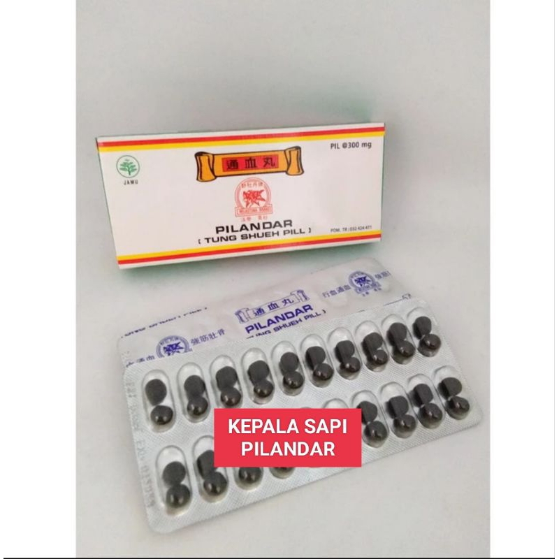 Jual OBAT JAMU PILL BURUNG MERPATI KEPALA SAPI PILANDAR COKLAT TUNG ...