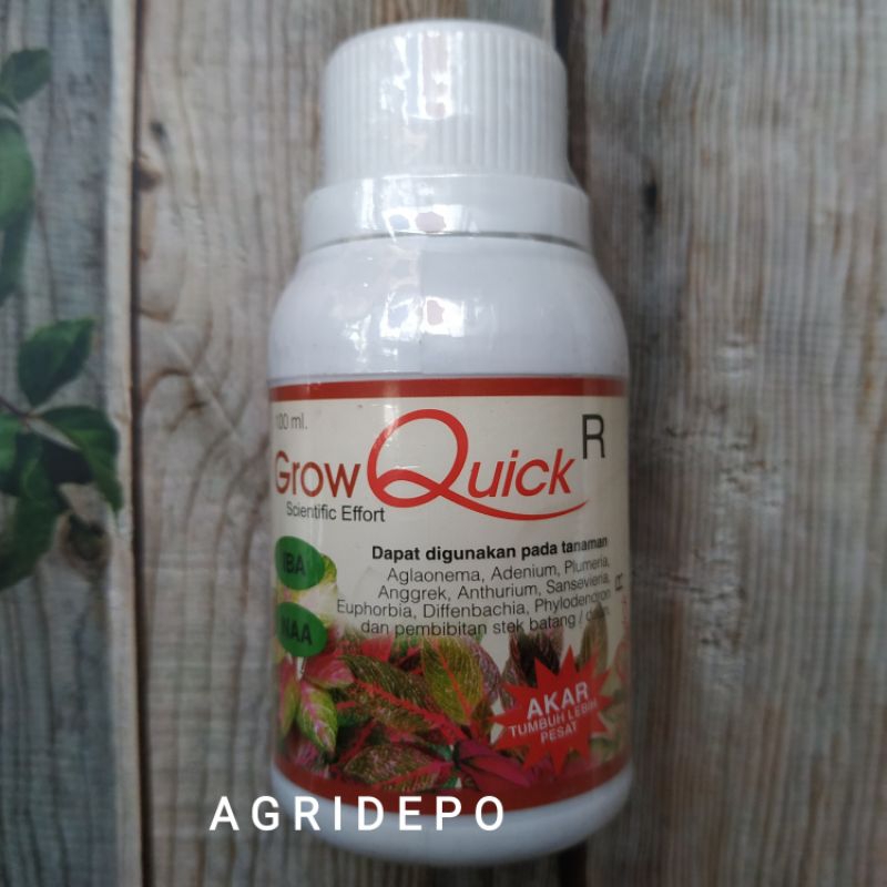 Jual Grow Quick R Perangsang Tumbuh Akar Tanaman Hias 100 ML | Shopee Indonesia