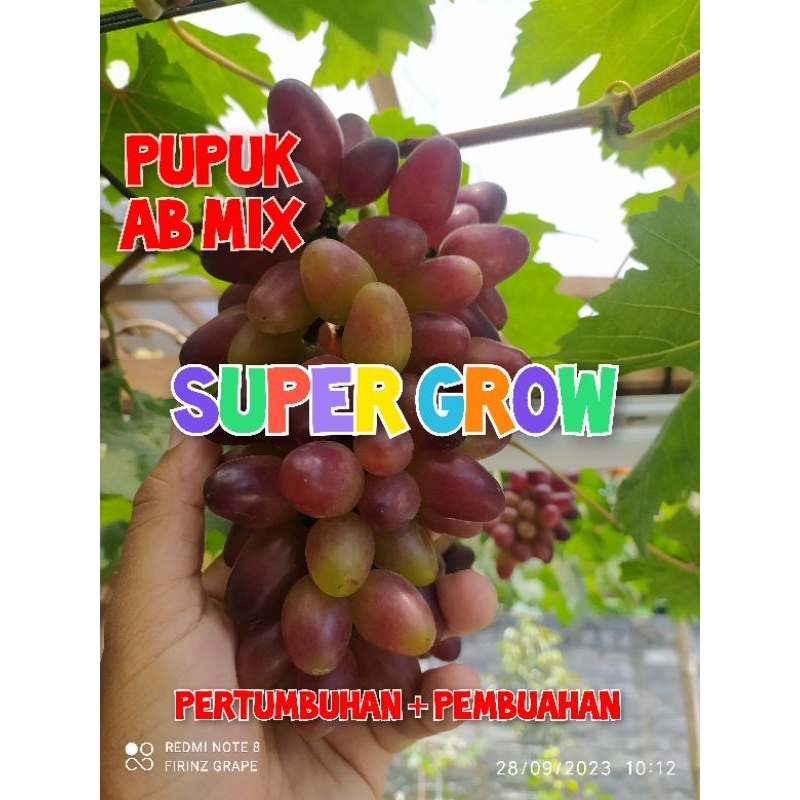 Jual Pupuk ab mix super Grow (vegetatif/pertumbuhan dan generatif ...