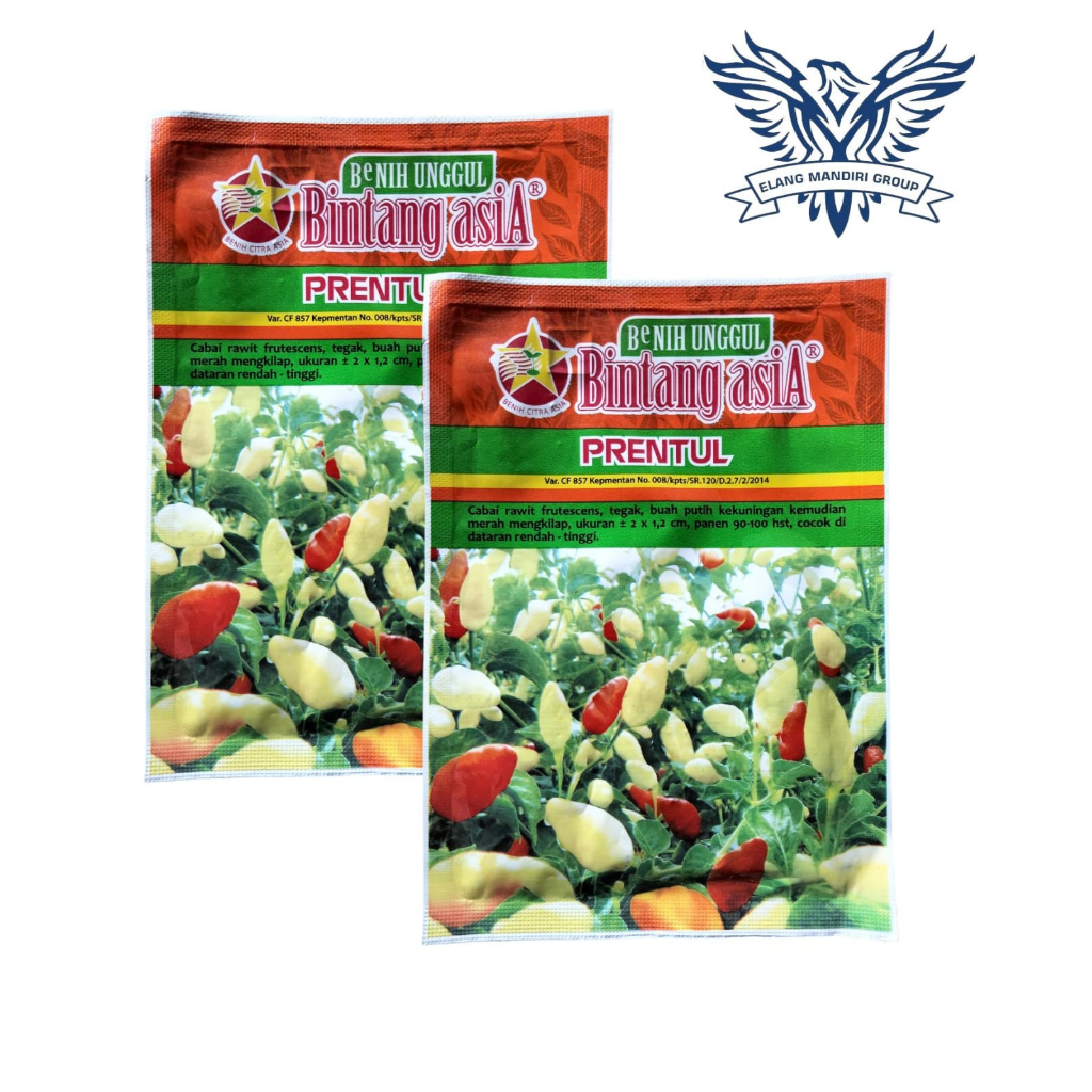 Jual Prentul 10gr Benih Cabe Rawit Bintang Asia Ori 212 | Shopee Indonesia