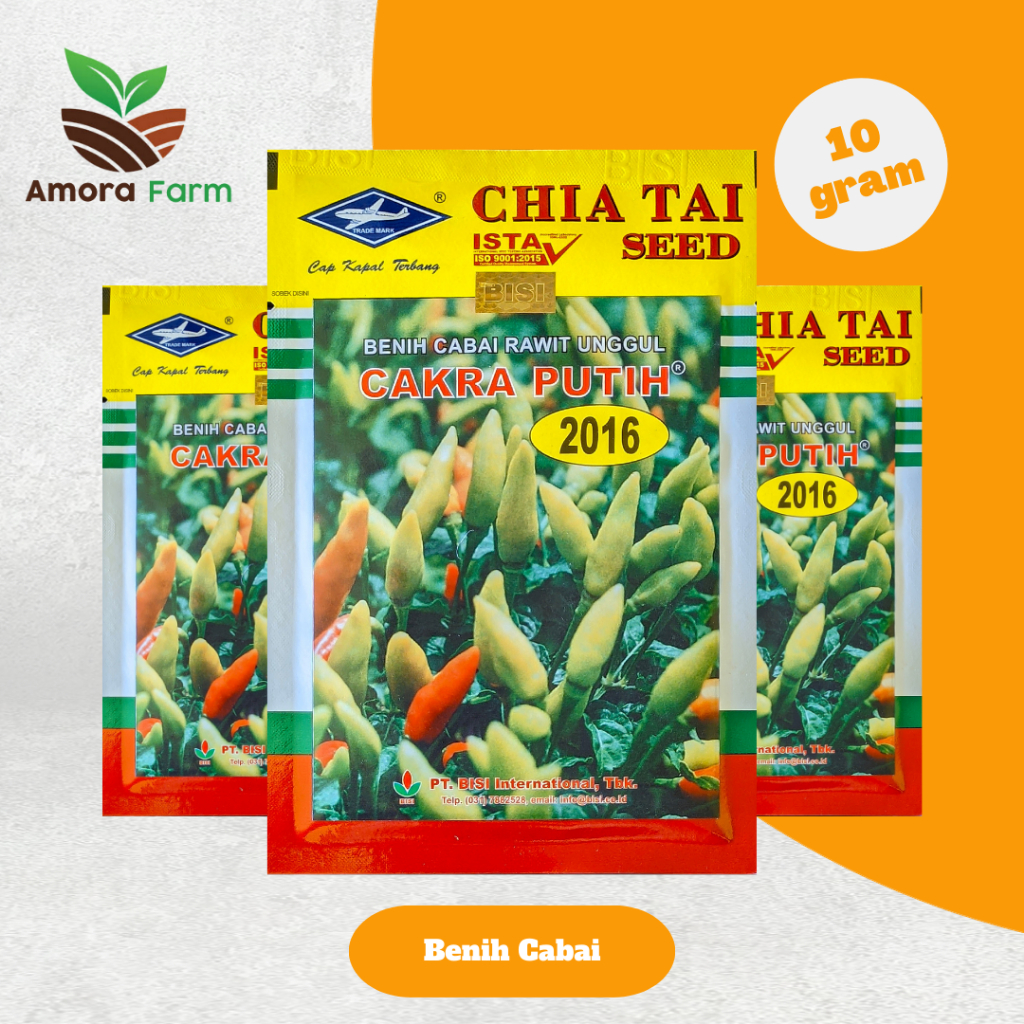 Jual Benih Cabai Rawit Unggul Cakra Putih 10 gram Cap Kapal Terbang ...