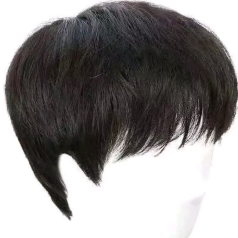 Jual Wig Rambut Palsu Pria Rambut Pendek Dengan Poni Panjang Warna ...