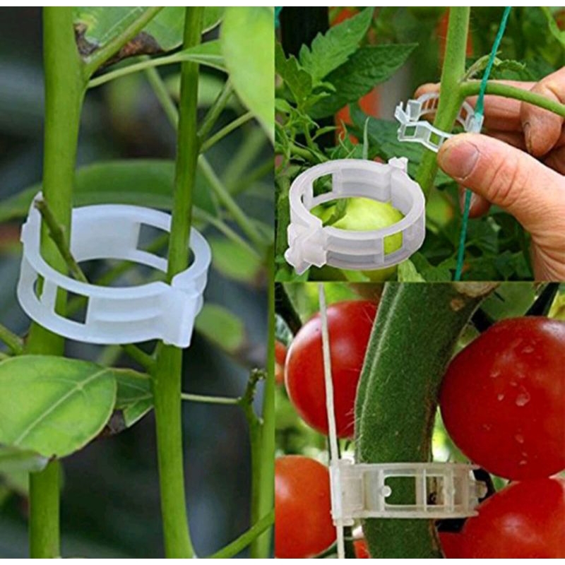 Jual Klip Pengikat Batang Ranting Tanaman Untuk Berkebun, Pengait ...