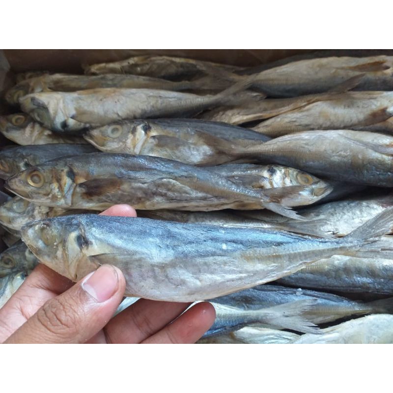 Jual Ikan Asin Peda / Pedo/ Banyar/ Layang Super 100 gram | Shopee Indonesia