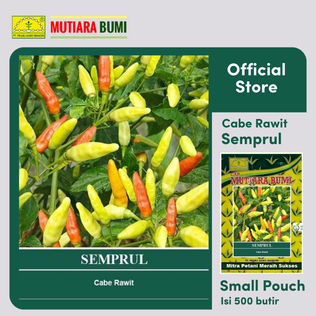 Jual Benih Cabai Cabe Rawit SEMPRUL Isi 500 Butir Cap MUTIARA BUMI ...