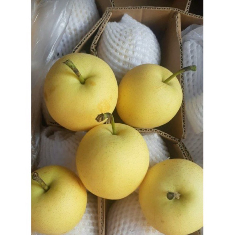 Jual Buah Pear / pir Madu 1kg | Shopee Indonesia