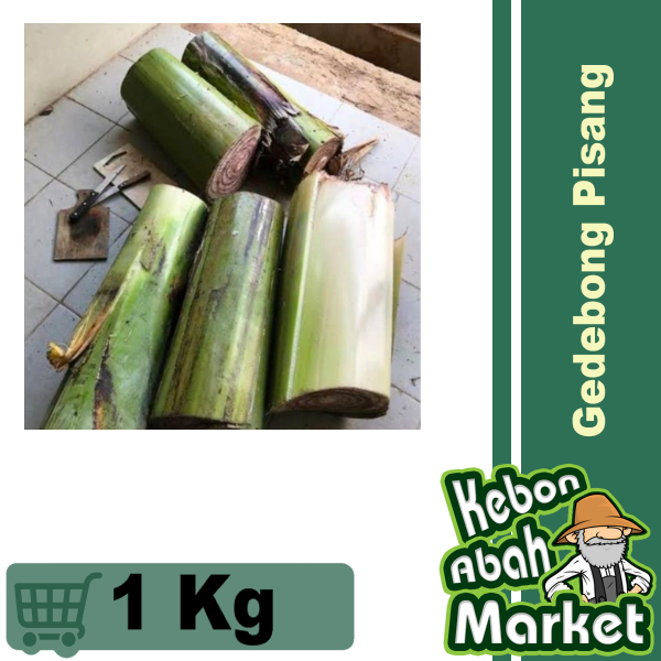 Jual Debok 1 Kg gedebok pelepah batang pohon gdebong pisang | Shopee ...