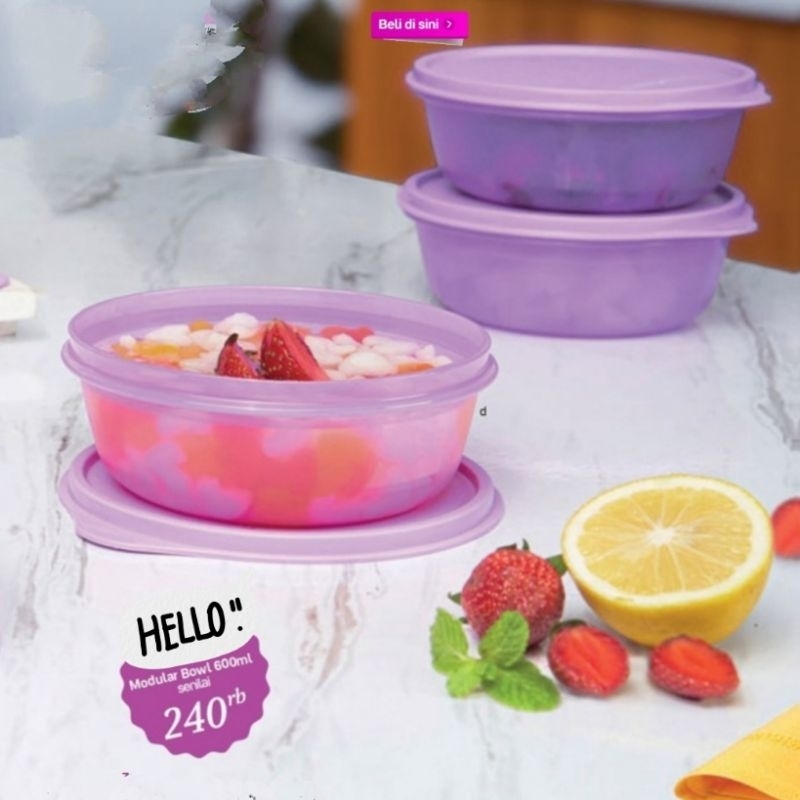 Jual Tupperware Original Parcel Set Lengkap Bowl Mangkuk Kotak Makan ...