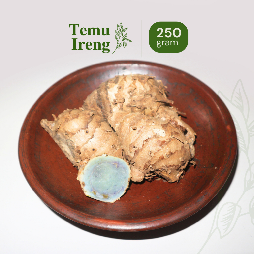 Jual Temu Ireng / Temu Hitam 250 gr SEGAR kualitas SUPER | Shopee Indonesia