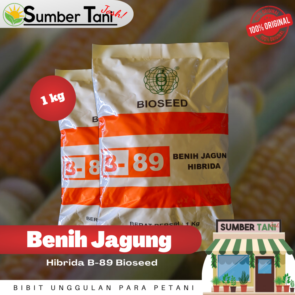 Jual Benih Jagung Hibrida Bioseed B 89 Kemasan 1 kg | Shopee Indonesia