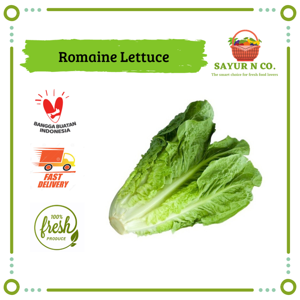 Jual Selada Romaine / Lettuce Romaine | Sayur N Co Bekasi | Shopee Indonesia
