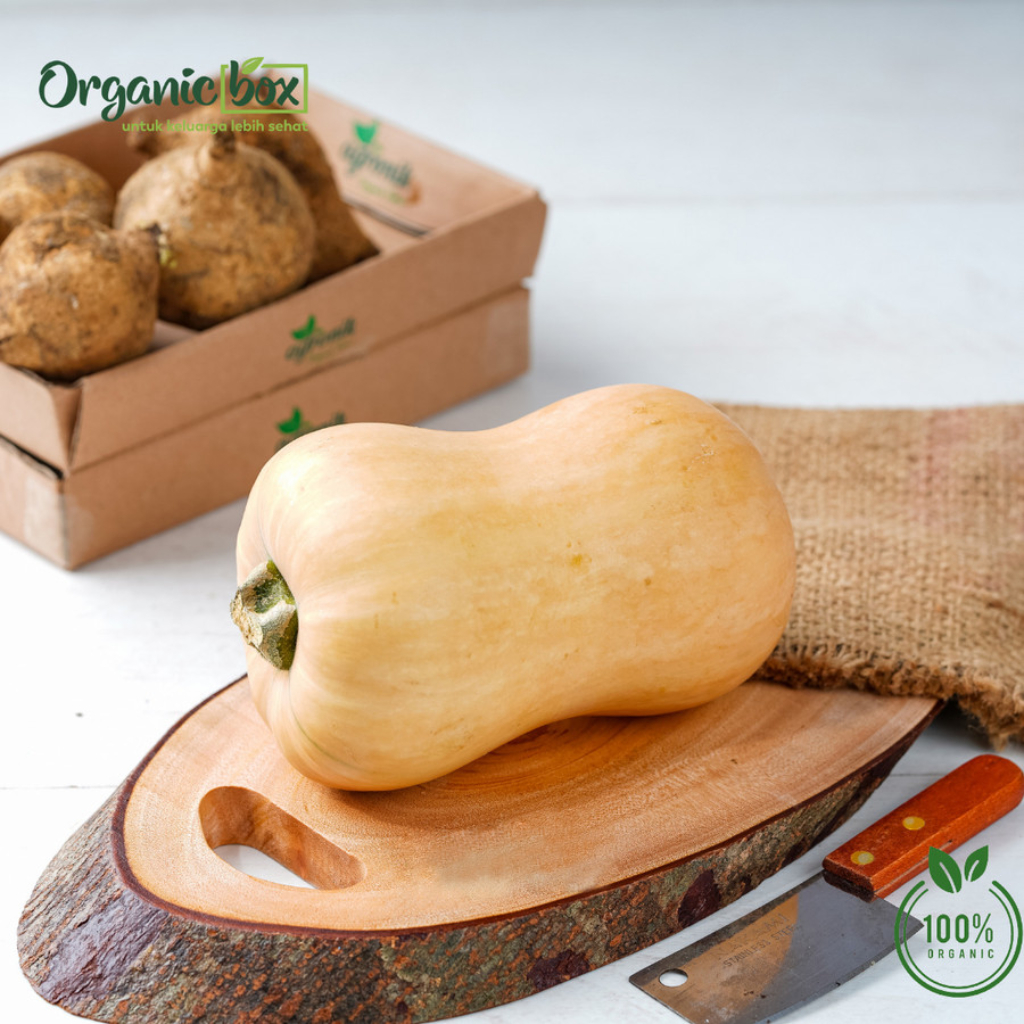Jual BUTTERNUT ORGANIK 1 - 1.1KG Quality Farm | Shopee Indonesia