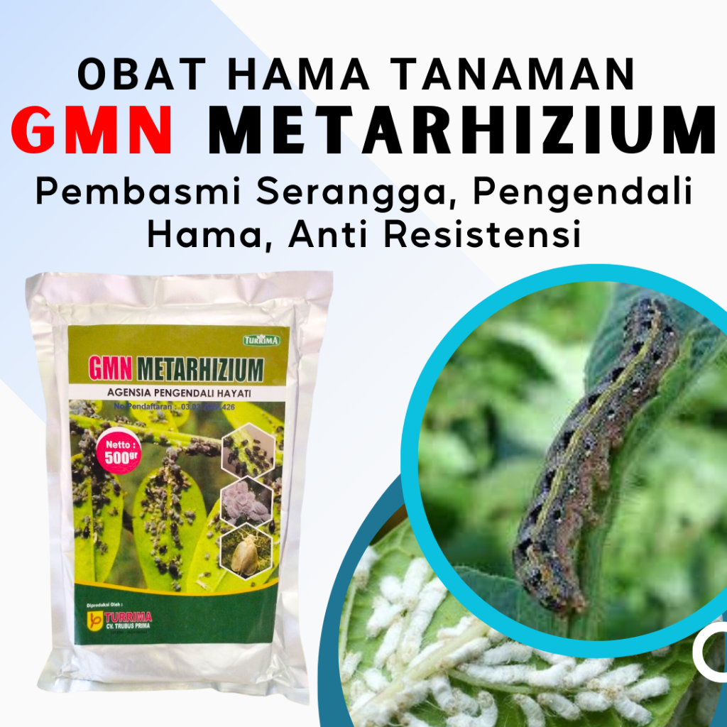 Jual Obat Wereng Ampuh, Racun Hama Wereng, Insektisida Untuk Kutu Putih ...