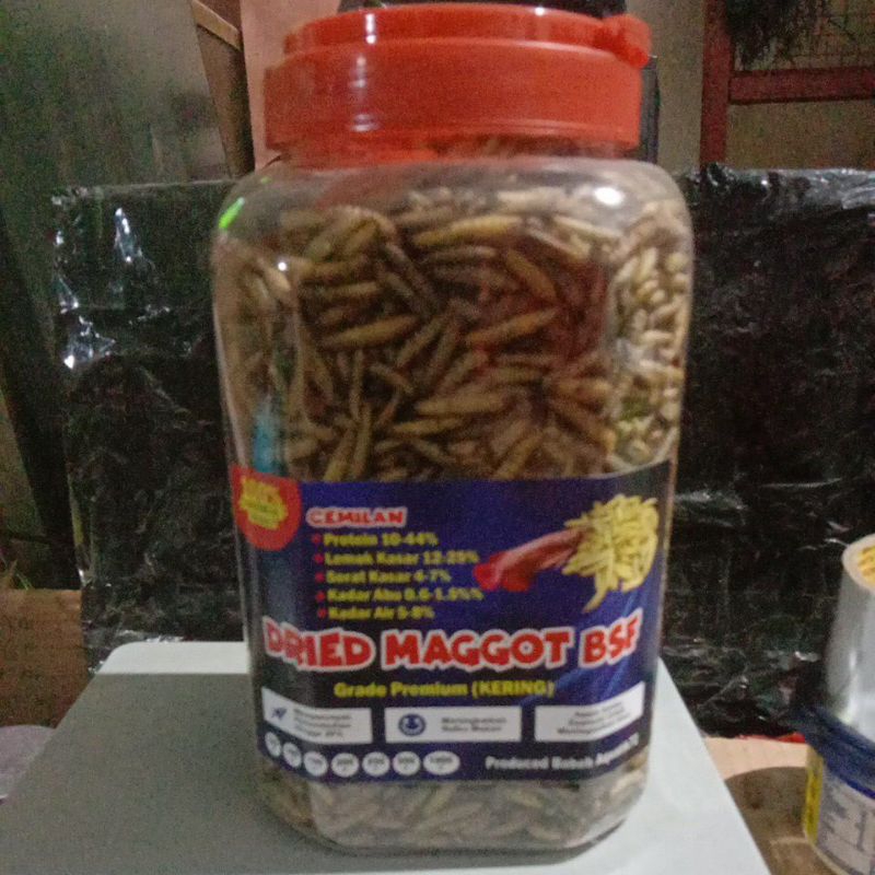 Jual MAGOT KERING | BERKUALITAS |SUPER| PREMIUM | 250g | Shopee Indonesia