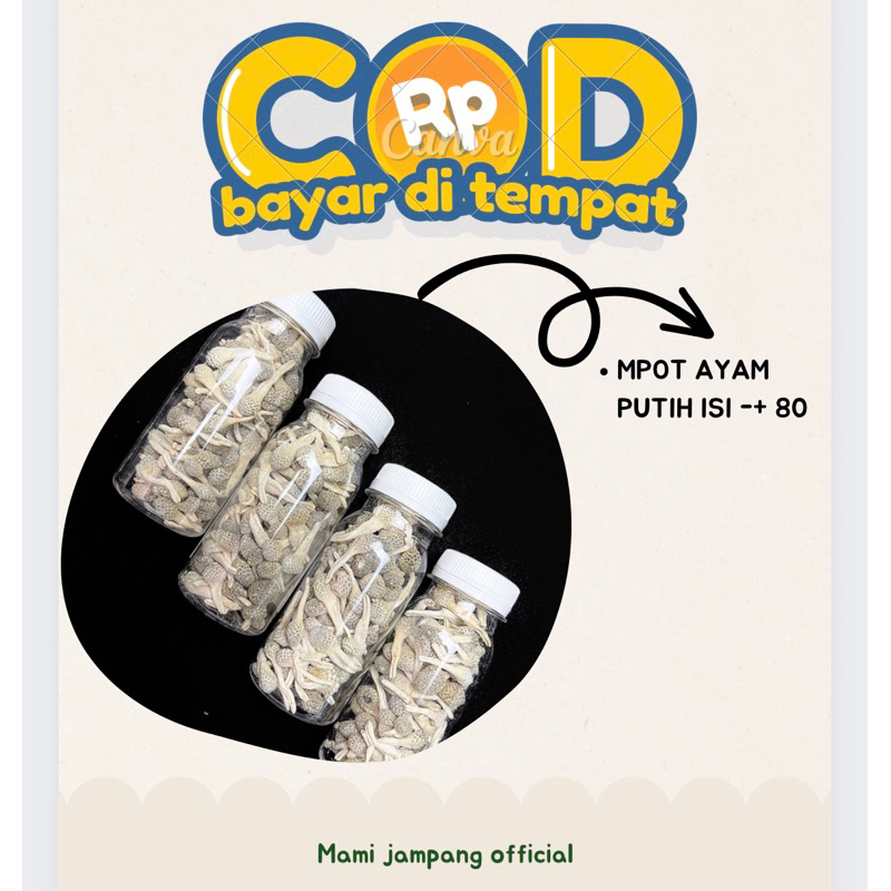 Jual Mpot putih biang isi 3 botol GRATIS 1 botol | Shopee Indonesia