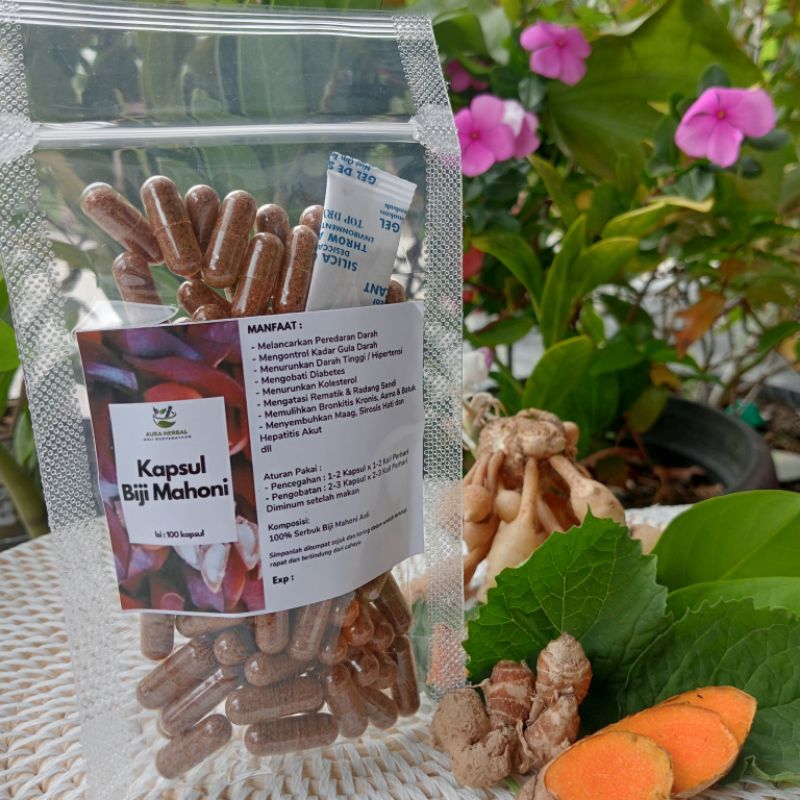 Jual Kapsul Biji Mahoni Original 100% Herbal Isi 100 | Shopee Indonesia