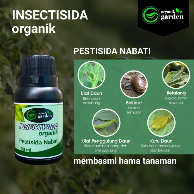 Jual INSECTISIDA organik | pestisida nabati pembasmi hama 100ml ...