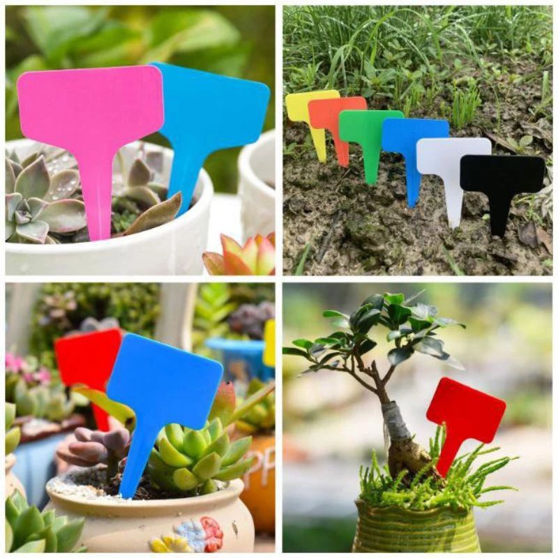 Jual Penanda Tanaman Waterproof Isi 5pcs - Label/ Tag Tanaman | Shopee Indonesia