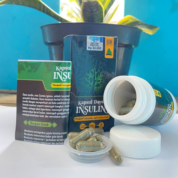 Jual Kapsul Daun Insulin BPOM isi 60 | Herbal Diabet | Obat Diabetes ...