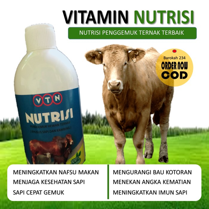Jual nutrisi vitamin ternak sapi probiotik jamu penggemuk organik alami ...