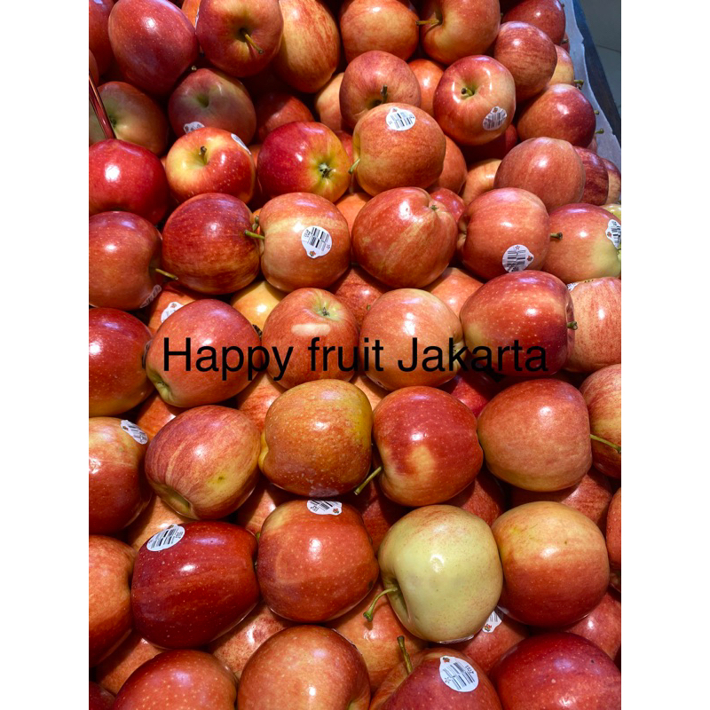 Jual Apel royal gala usa | apel gari royal gala import fresh 1 kg ...