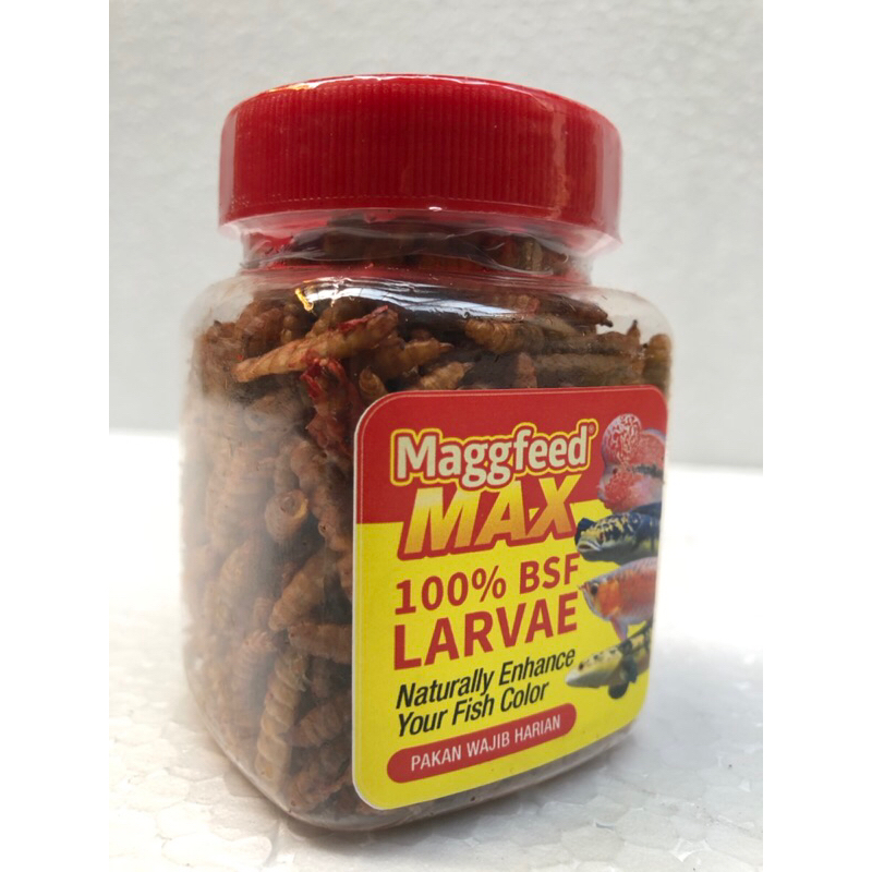 Jual makanan Ikan hias maggot kering maggfeed botol merah | Shopee ...