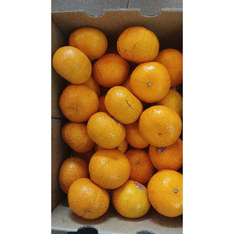 Jual Jeruk Honey murcot jumbo fresh | 1 kg | Shopee Indonesia