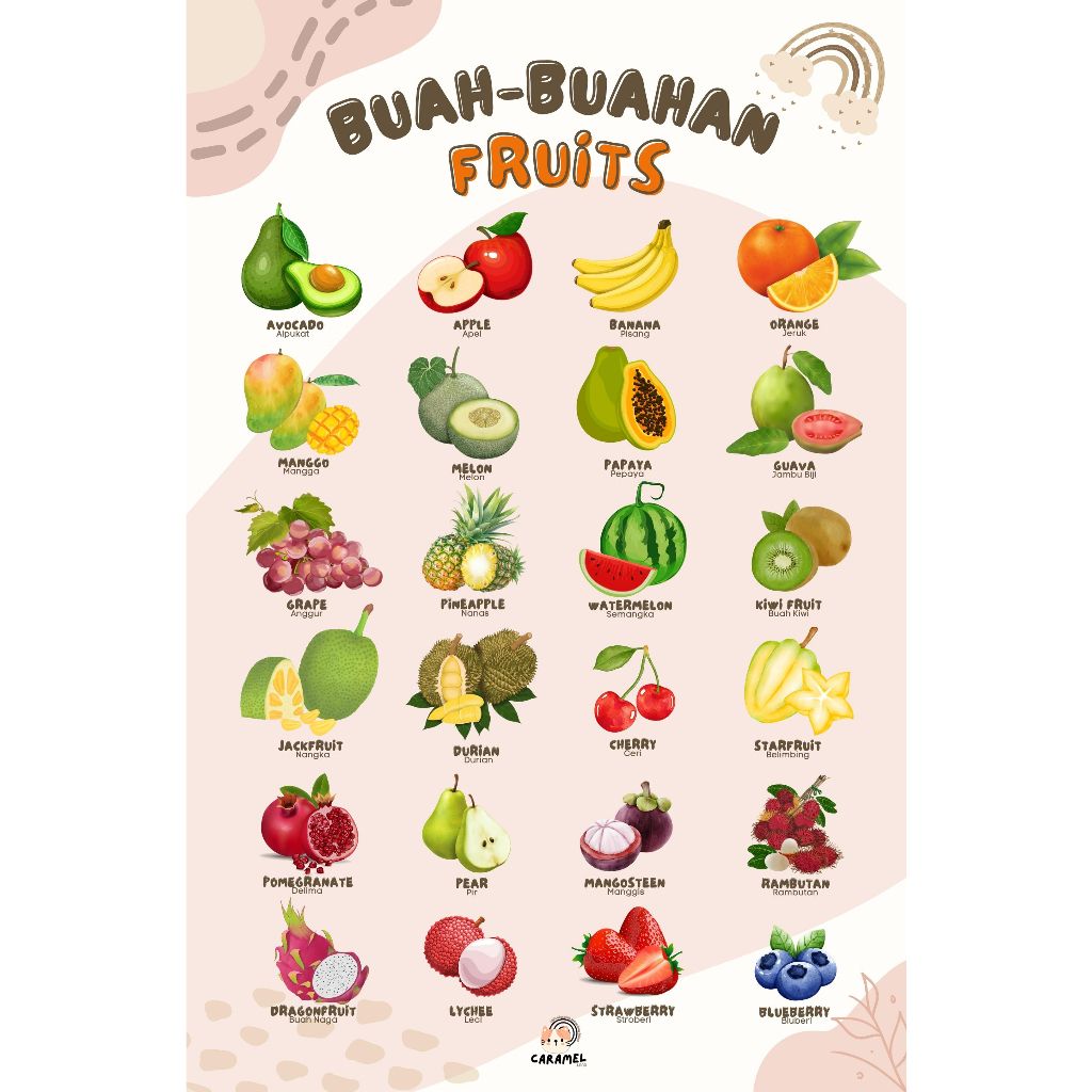 Jual WIPE N CLEAN-POSTER EDUKASI BUAH BUAHAN ESTETIK ANTI AIR | Shopee Indonesia