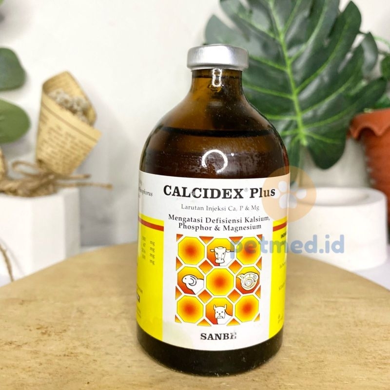 Jual Calcidex Inj 100 mL SANBE Untuk Ambruk sapi injeksi kalsium ...