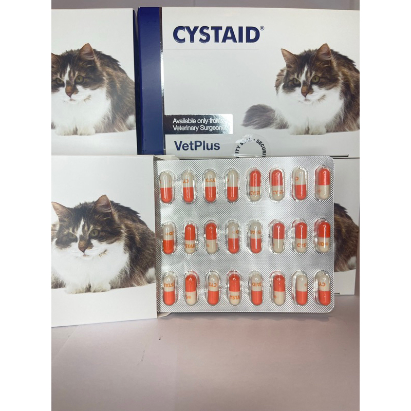 Jual Cystaid Plus CystaidPlus Kapsul Obat Gangguan Saluran Kencing ...