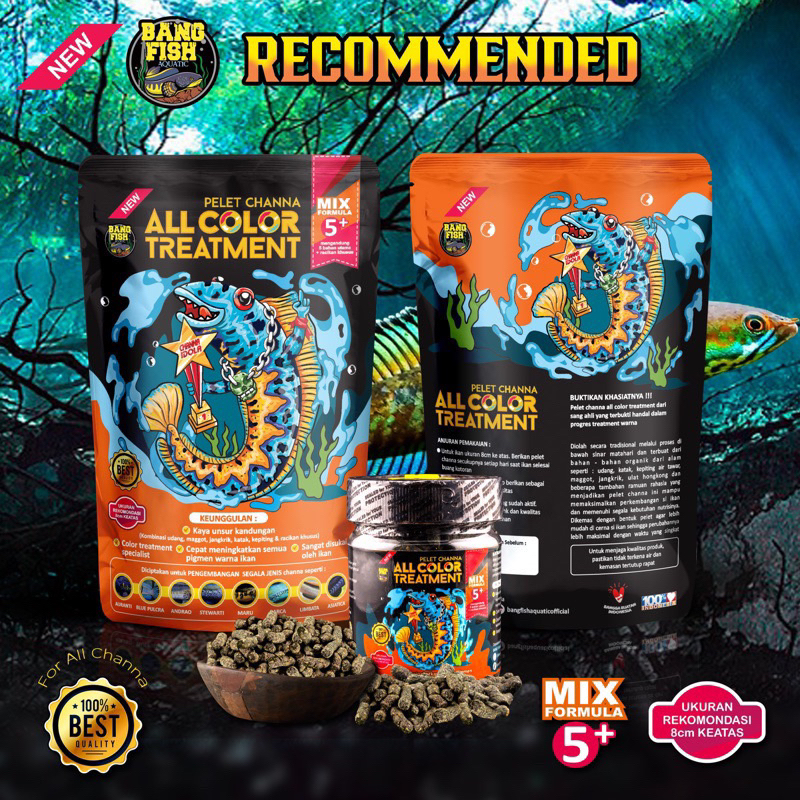 Jual PELET CHANNA ALL COLOR TREATMENT BANGFISH PELET WARNA CHANNA 55g ...