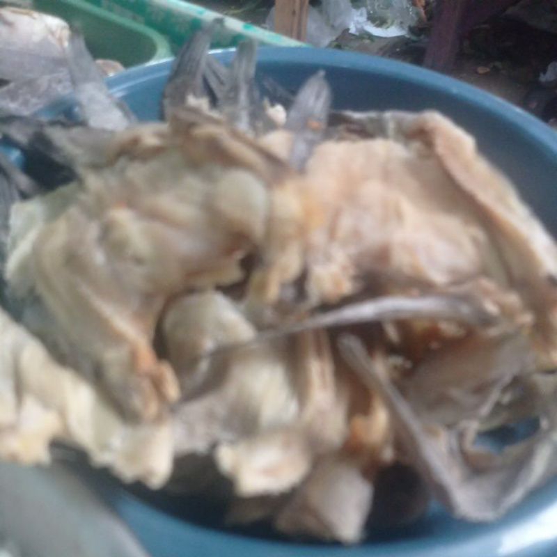 Jual Ikan Asin Murah Harga 5000 Cumi Asin Teri Jengki Peda Merah Bulu ...