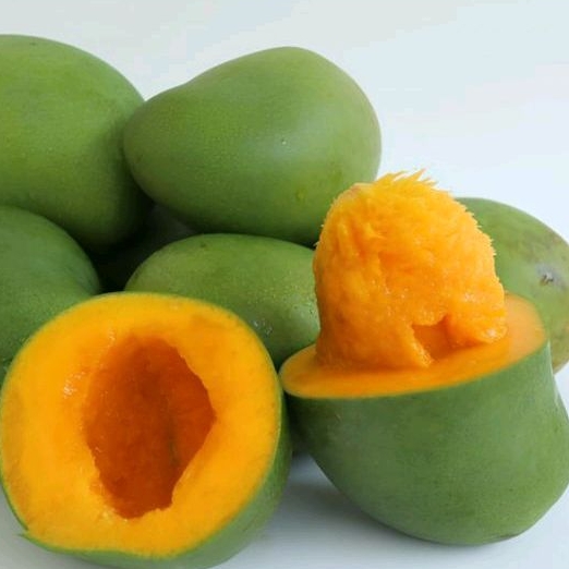 Jual Mangga Alpukat Bali, Mangga Termanis dengan Kadar Air Rendah per ...