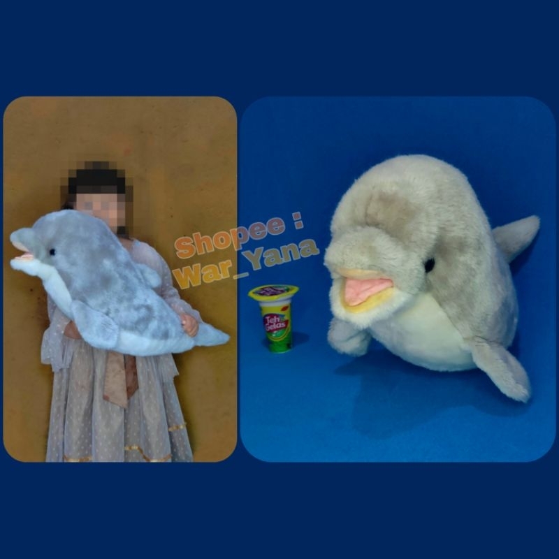 Jual Boneka Ikan Lumba Lumba Import Jepang Original Aqua Japan Dolphin ...