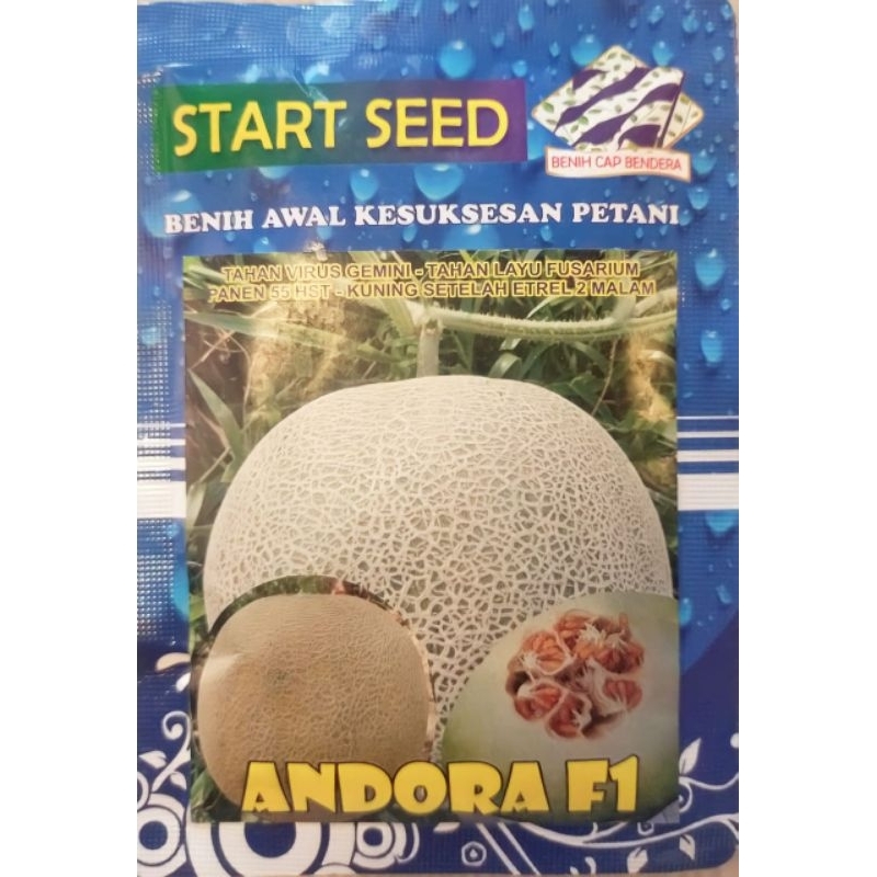 Jual Benih melon ANDORA F1 dari Start Seed | Shopee Indonesia