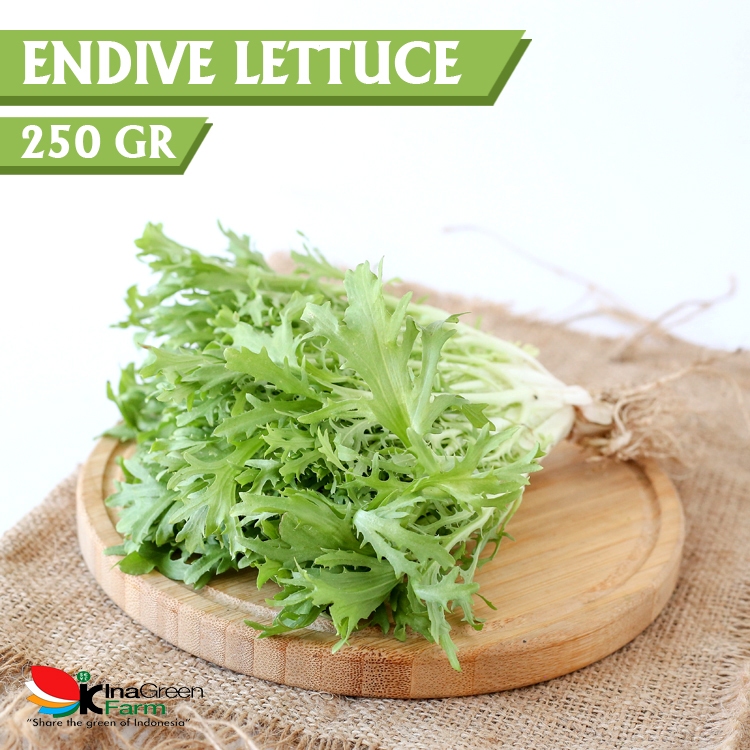 Jual Inagreen Farm Bandung Sayur Endive Lettuce Organik 250 Gram ...
