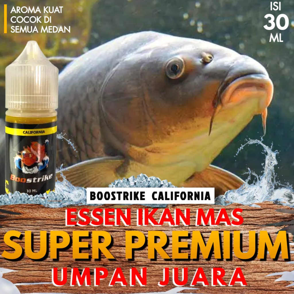 Jual Boostrike California Essen Ikan Mas Mancing Galatama Lomba Harian 100% ORIGINAL | Shopee ...
